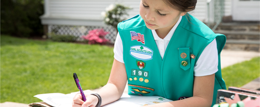 Gsoh Troop Finance Report Clipart